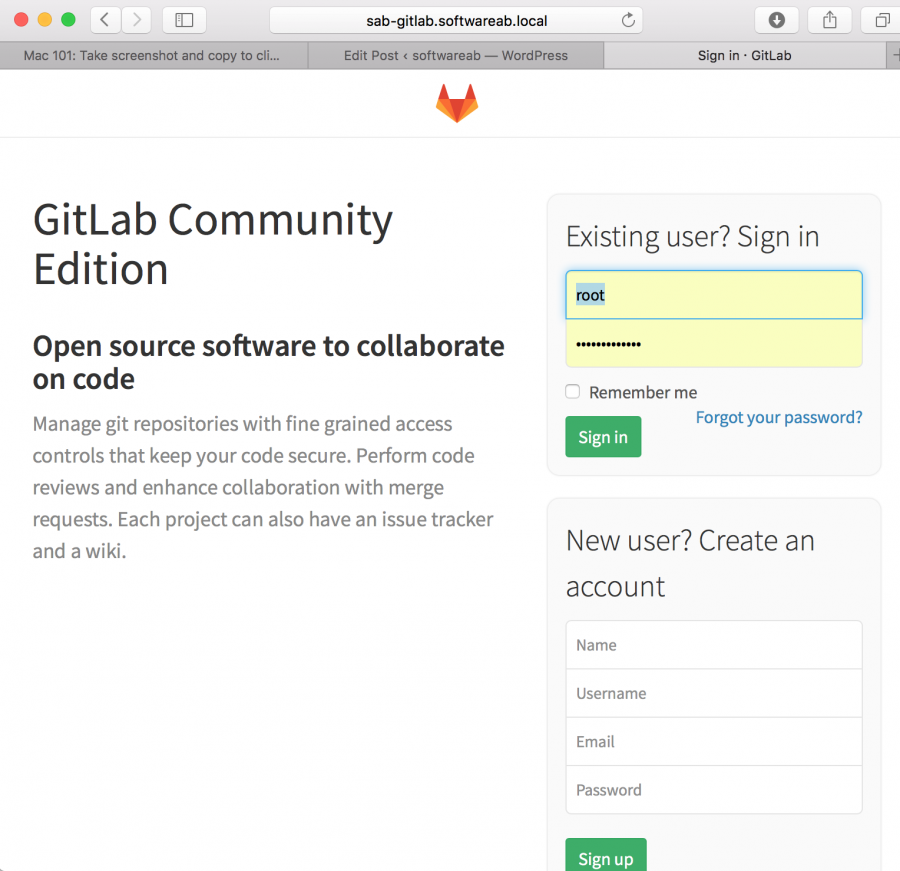 Run Gitlab Under Docker Softwareab